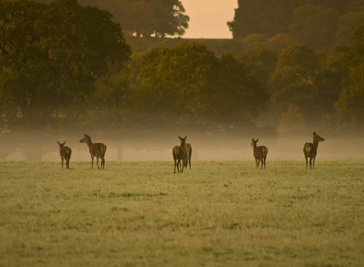 Maidenhead Area Guide – Get Living